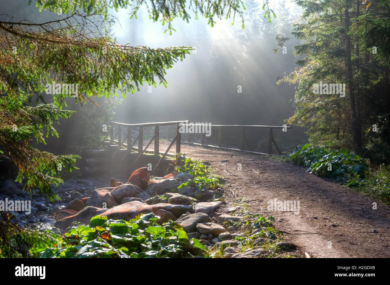 Outdoor tourism with sun landscape hi-res stock photography and images ...