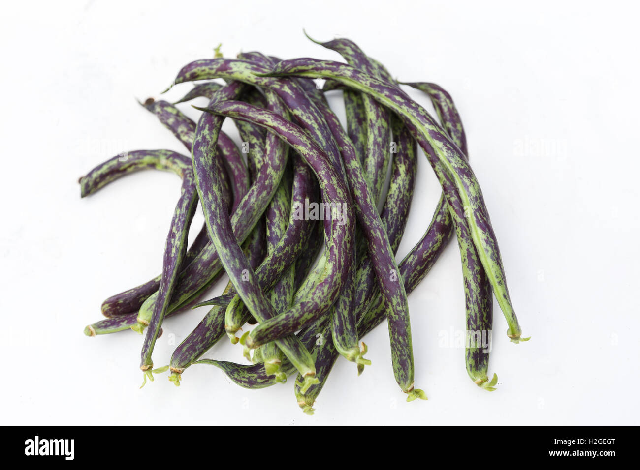 homegrown organic green haricot beans, Dragon Tongue, fresh vegetables ...