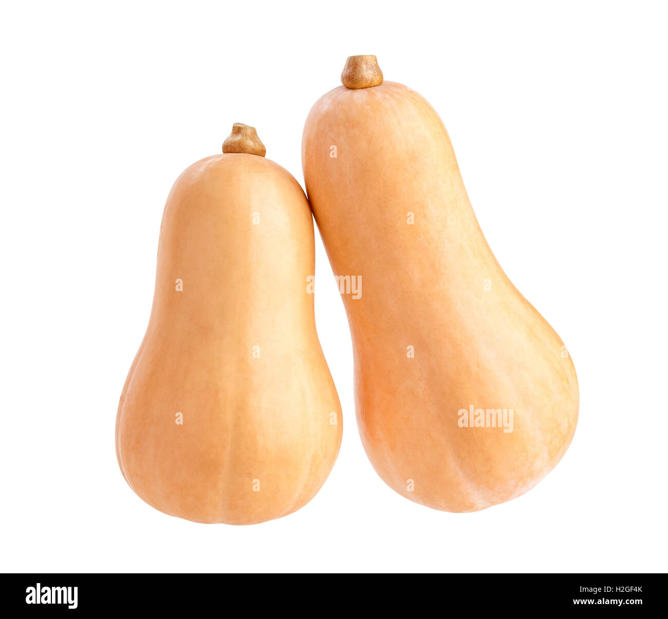 Closeup squash Cut Out Stock Images & Pictures - Alamy