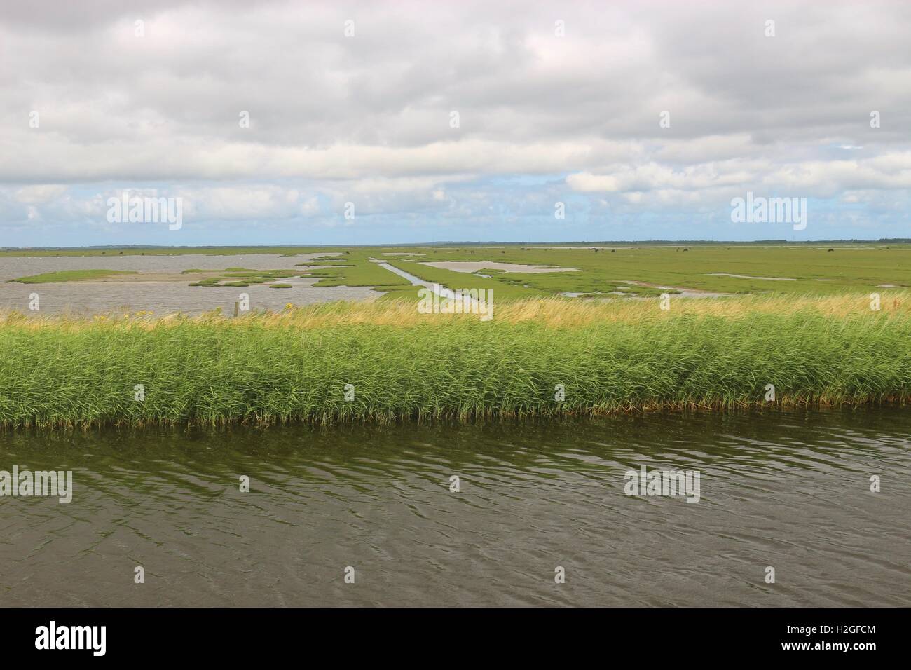 The wetland Vejlerne nature reserve in Northern Jutland, Denmark. It is ...