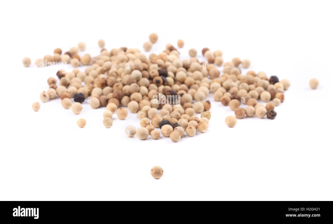 close up of white pepper Stock Photo - Alamy
