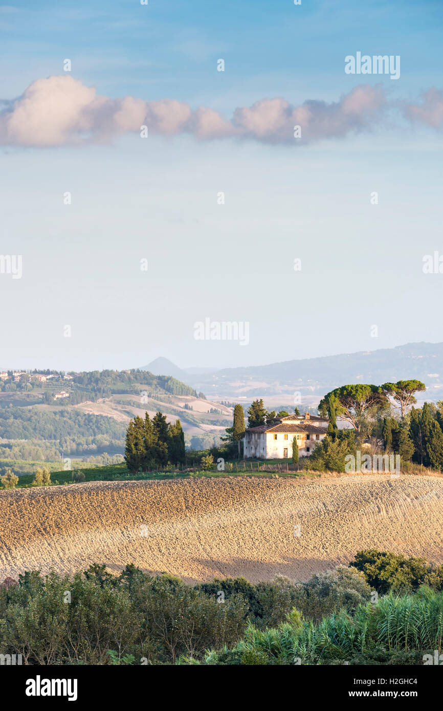 Tuscany Landscape in the morning Stock Photo - Alamy
