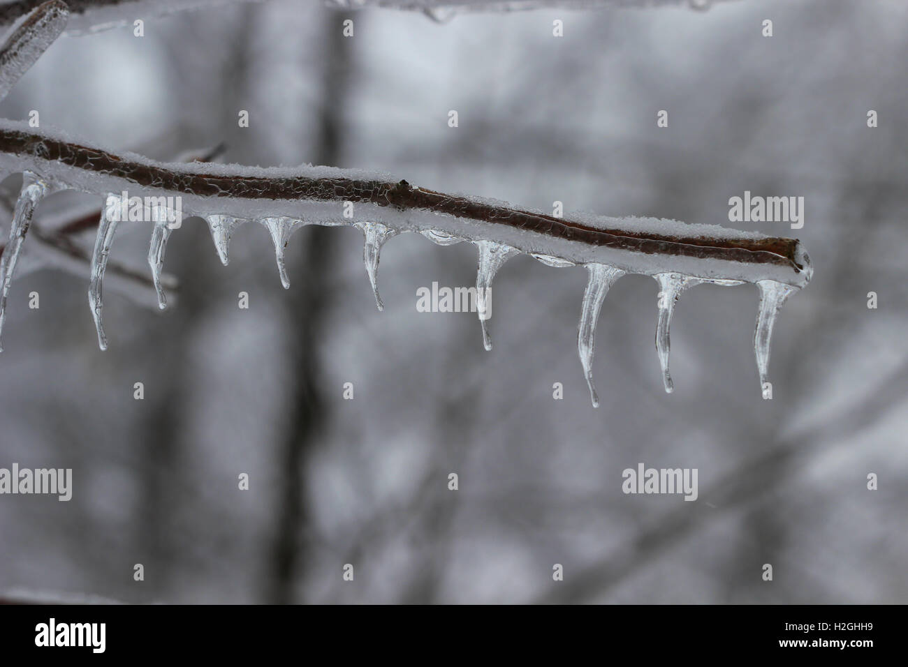 Ice drips hi-res stock photography and images - Alamy