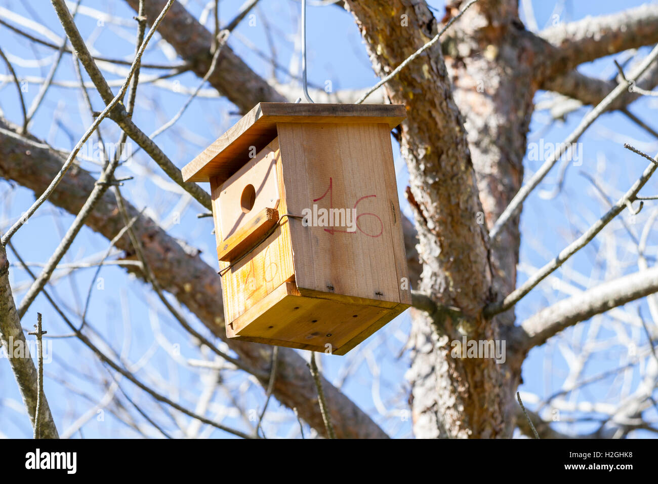 Bird-box.Bird house on the tree in the summer woods Stock Photo - Alamy