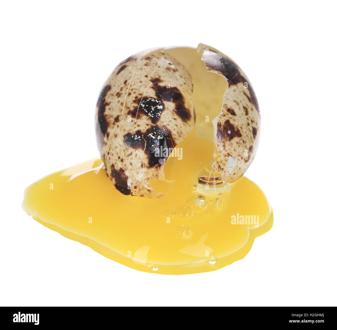raw broken quail egg Stock Photo - Alamy