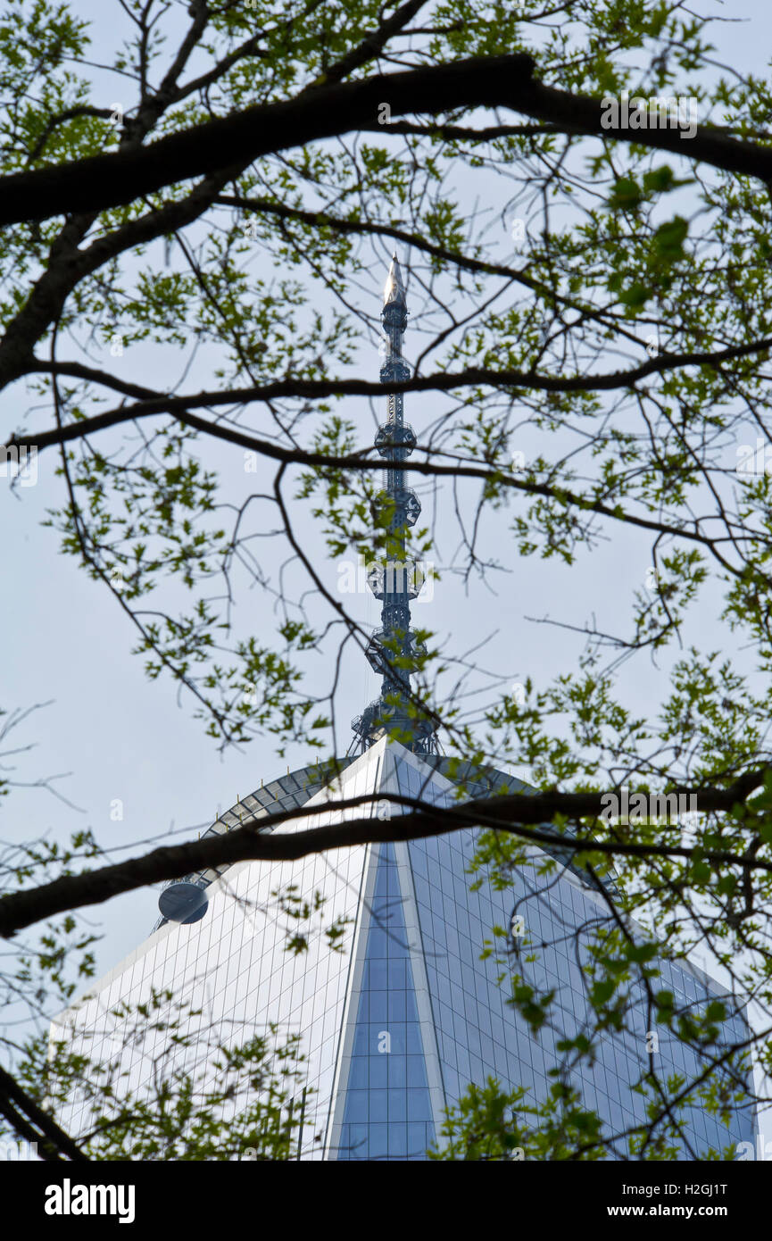 One World Trade Center seen through tree branches with early spring ...