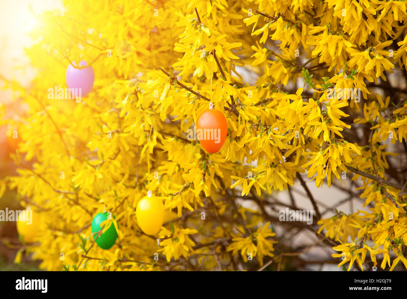 Orange easter egg hanging hi-res stock photography and images - Alamy