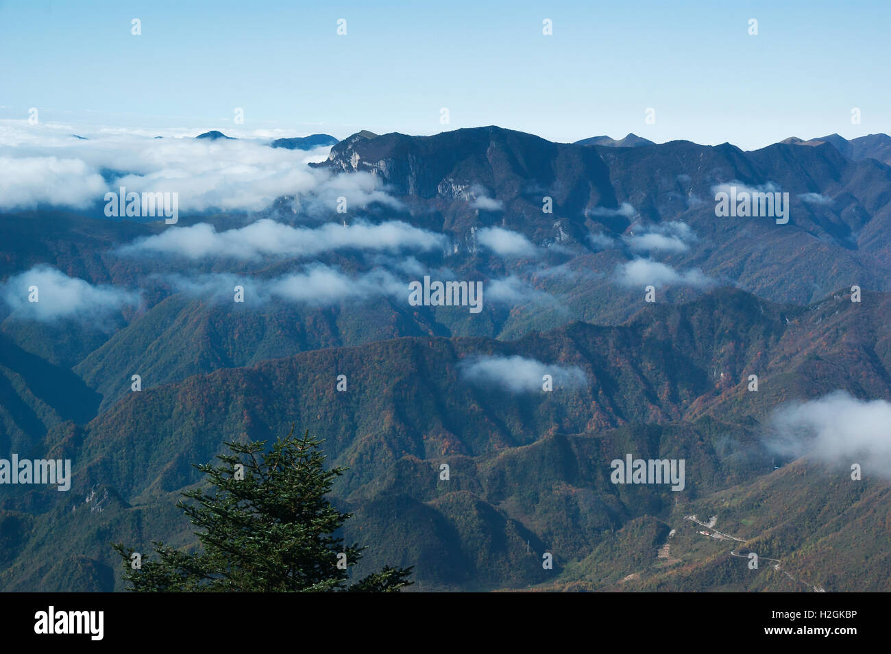 Mountain peaks. Tree. Clouds Stock Photo - Alamy