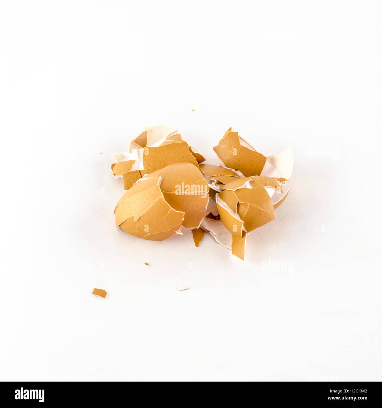 egg shell isolated on white Stock Photo - Alamy