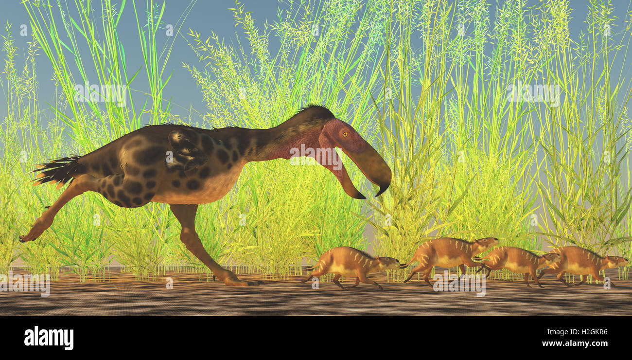 Kelenken Bird Hunt Stock Photo - Alamy