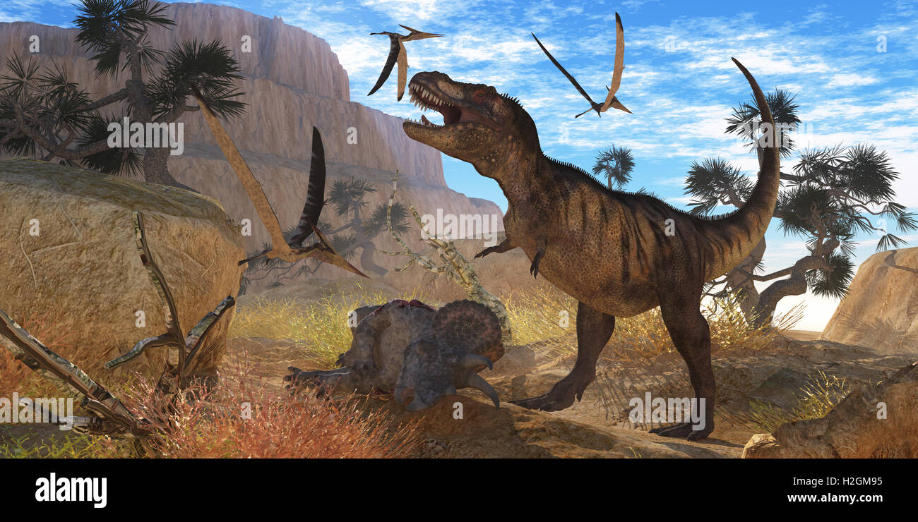 Tyrannosaurus rex and triceratops hi-res stock photography and images ...