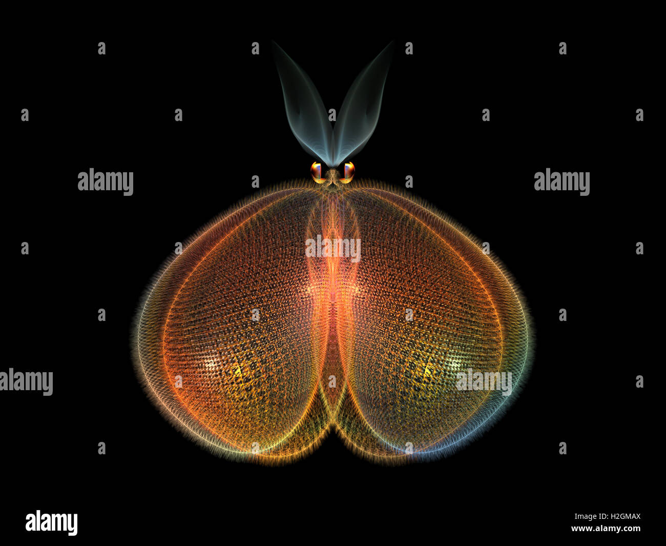 Detailed butterfly illustration hi-res stock photography and images - Alamy