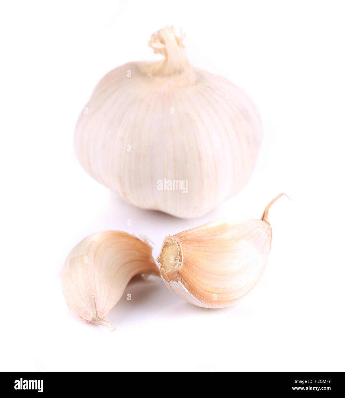 Fresh garlic whole and cloves Stock Photo - Alamy