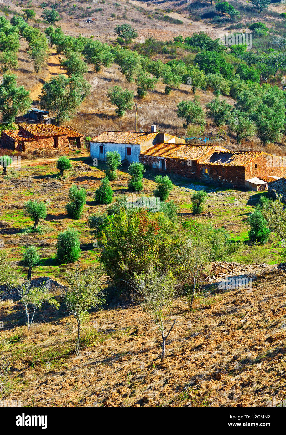 Agriculture farmhouse village hi-res stock photography and images - Alamy
