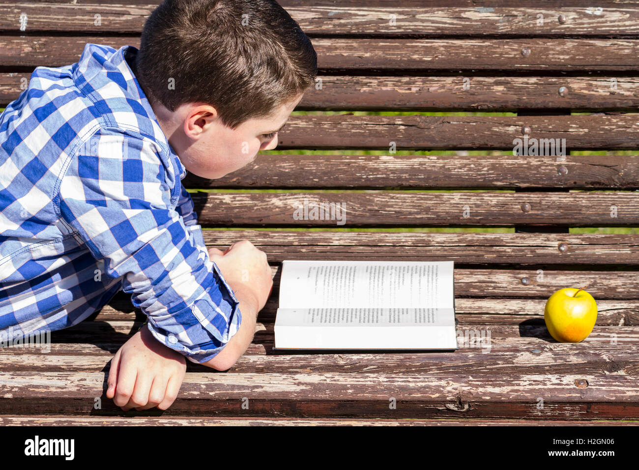 Young boy reading a book in the Park Bench, summer Stock Photo - Alamy