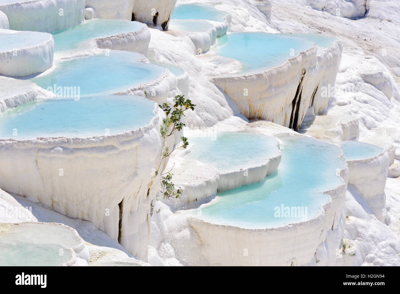 Blue water travertine pools at Pamukkale, Turkey Stock Photo - Alamy
