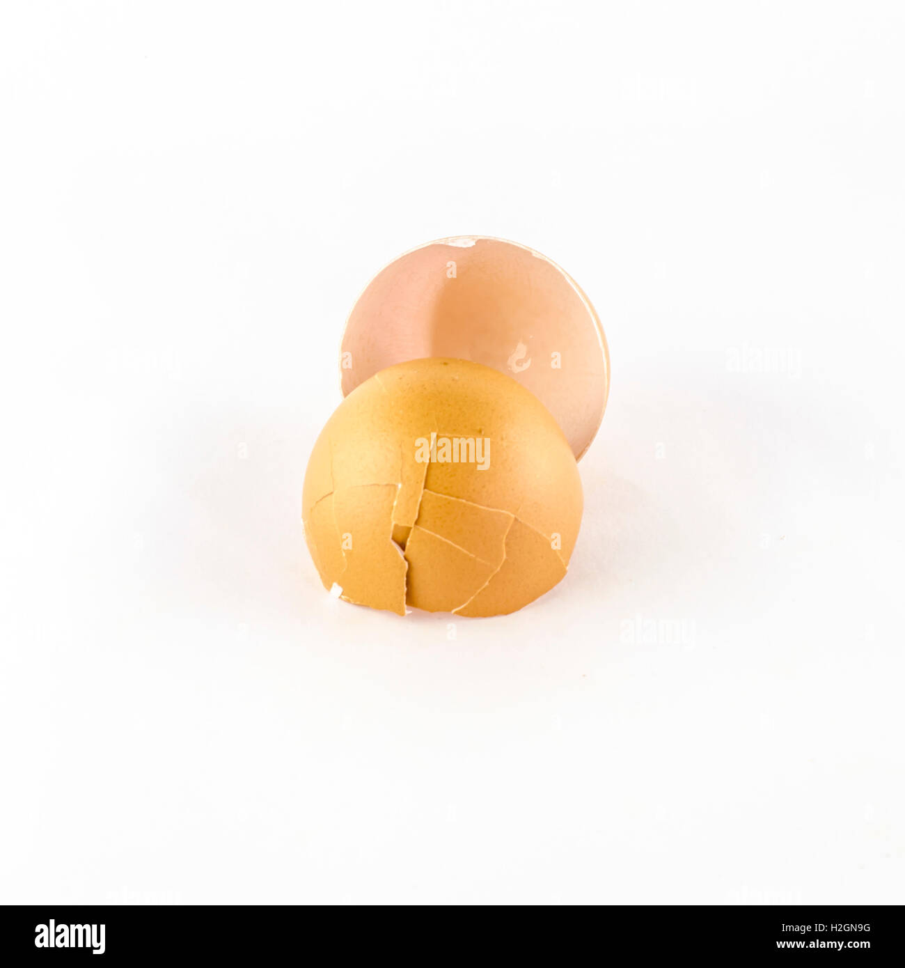 egg shell isolated on white Stock Photo - Alamy