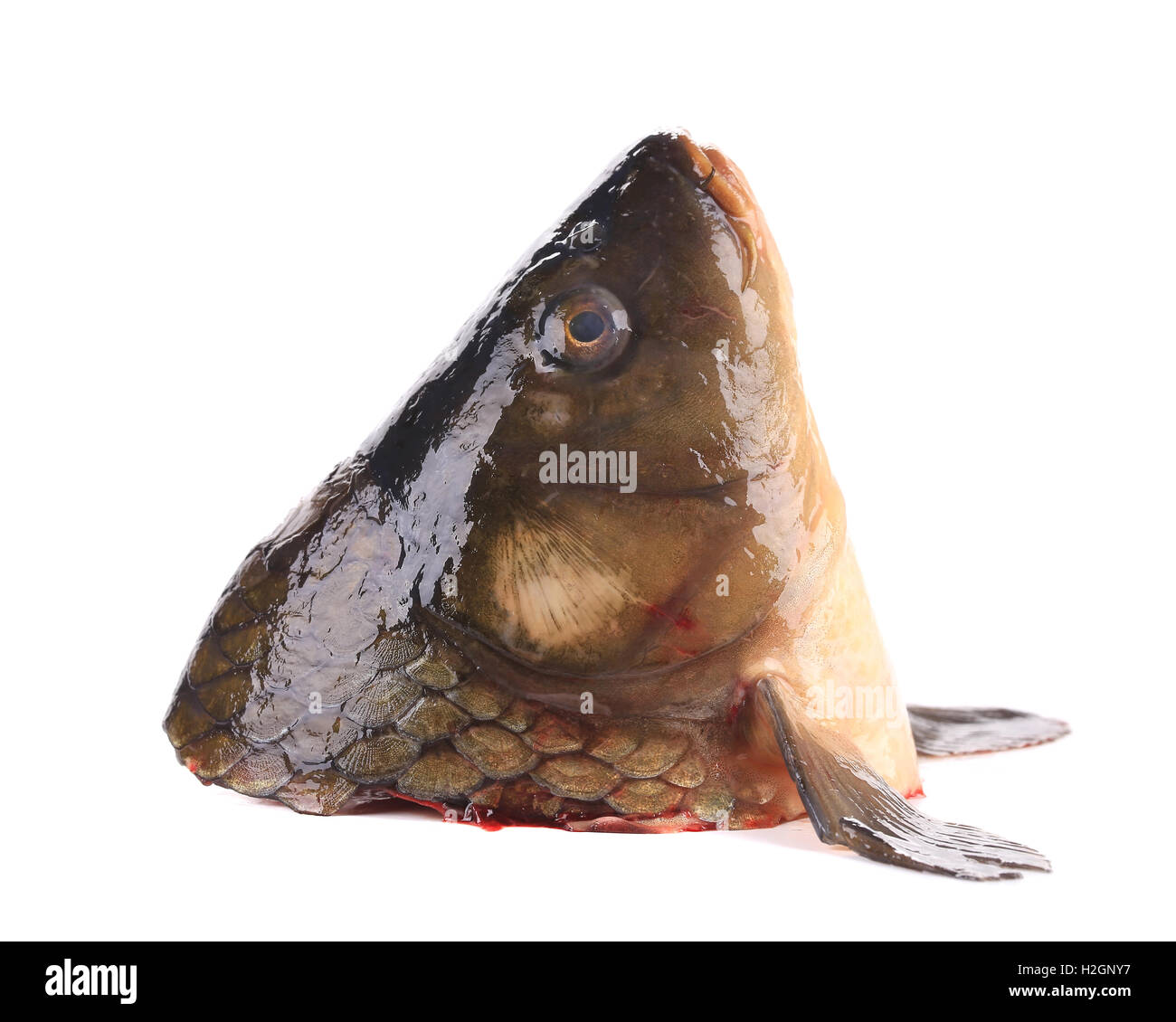 Fishs mouth hi-res stock photography and images - Alamy