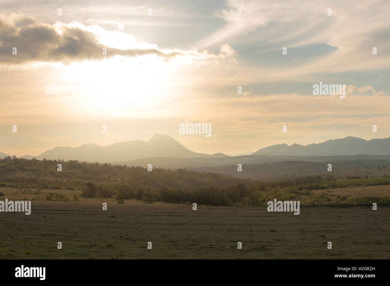 Golden light over fields and mountains Stock Photo - Alamy