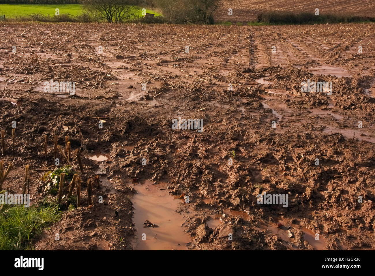 Erosion field maize hi-res stock photography and images - Alamy