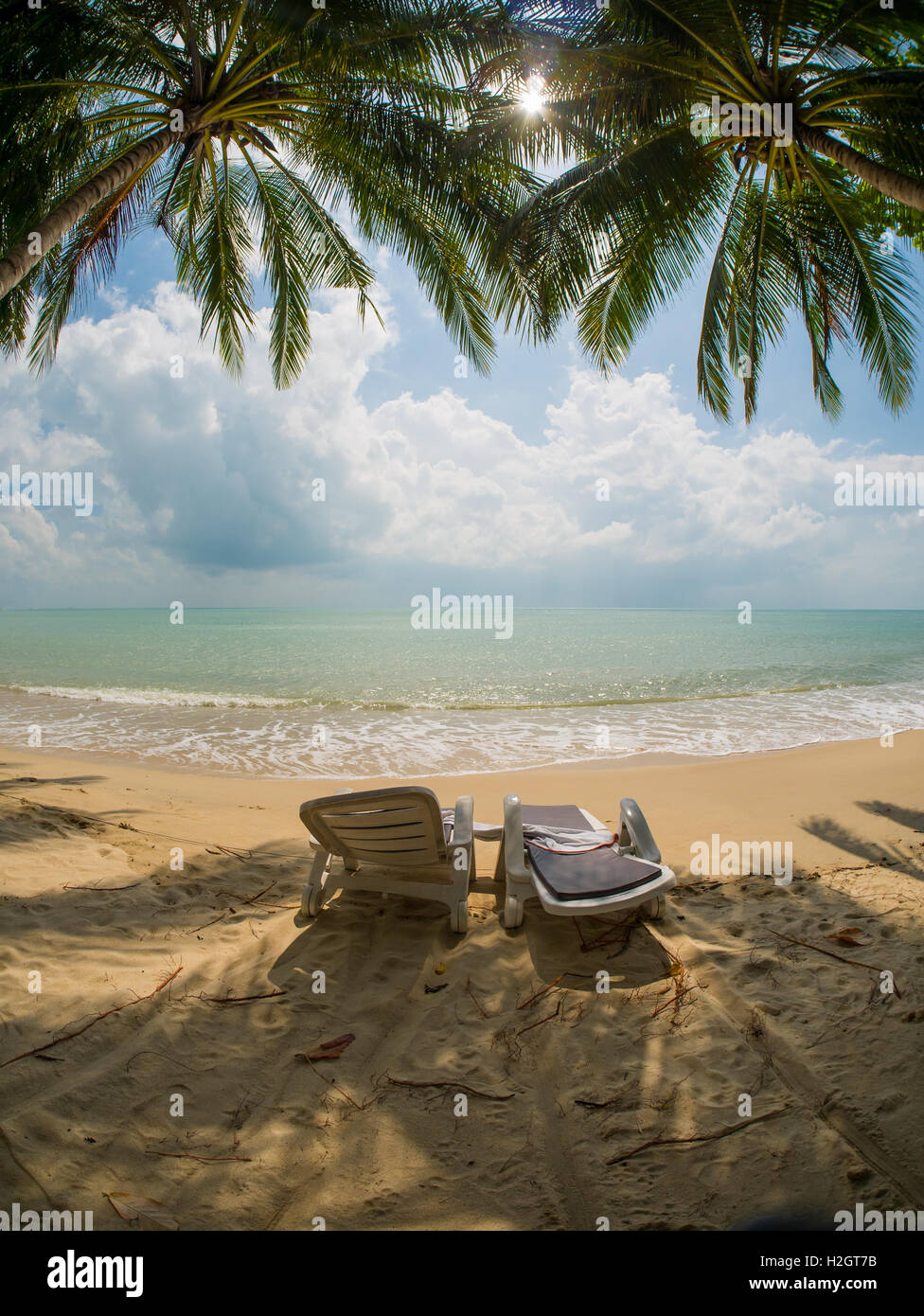 Sunbeds of the beach under a coconut tree Stock Photo - Alamy