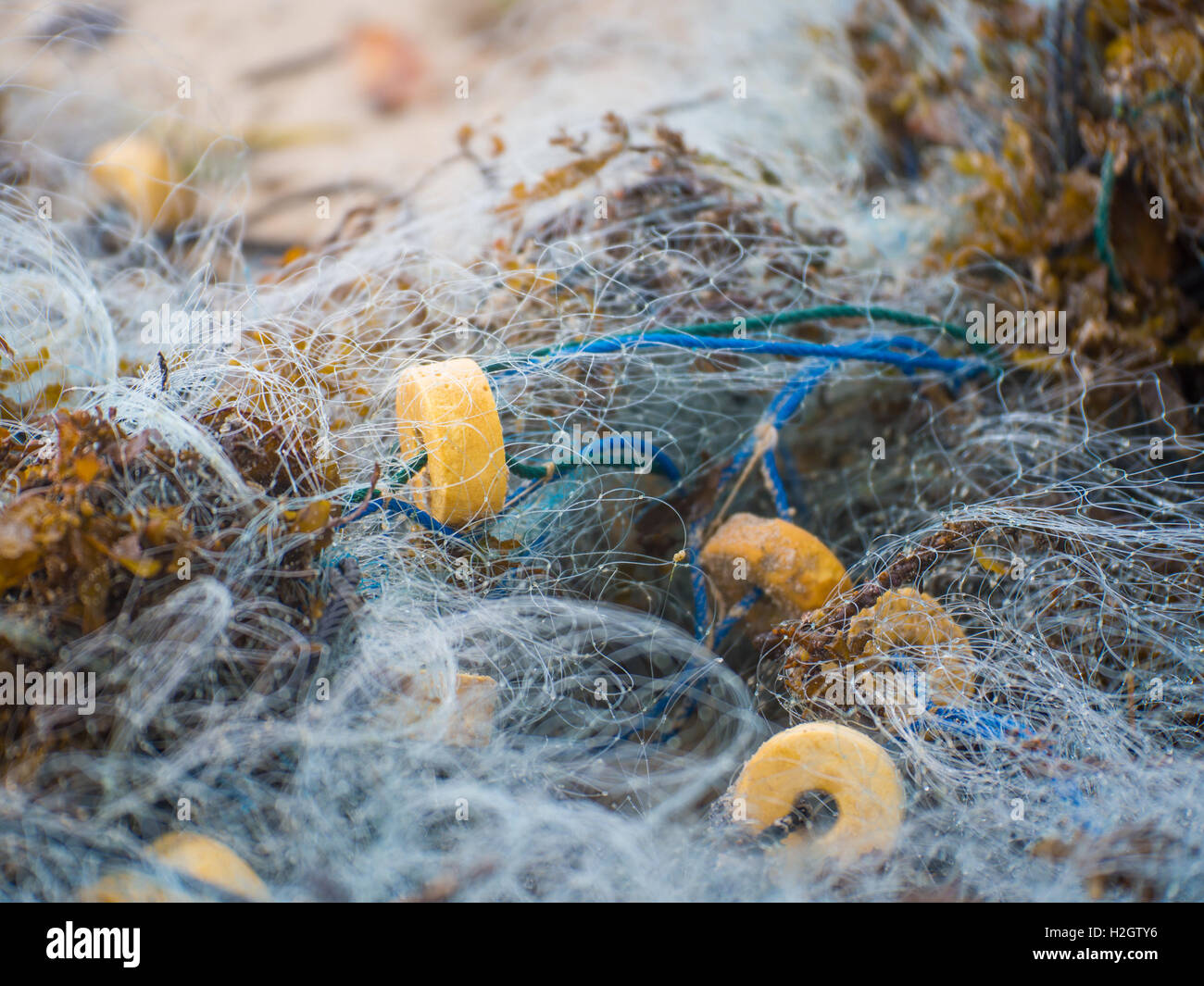 Fishing net close up background - shallow DOF Stock Photo - Alamy
