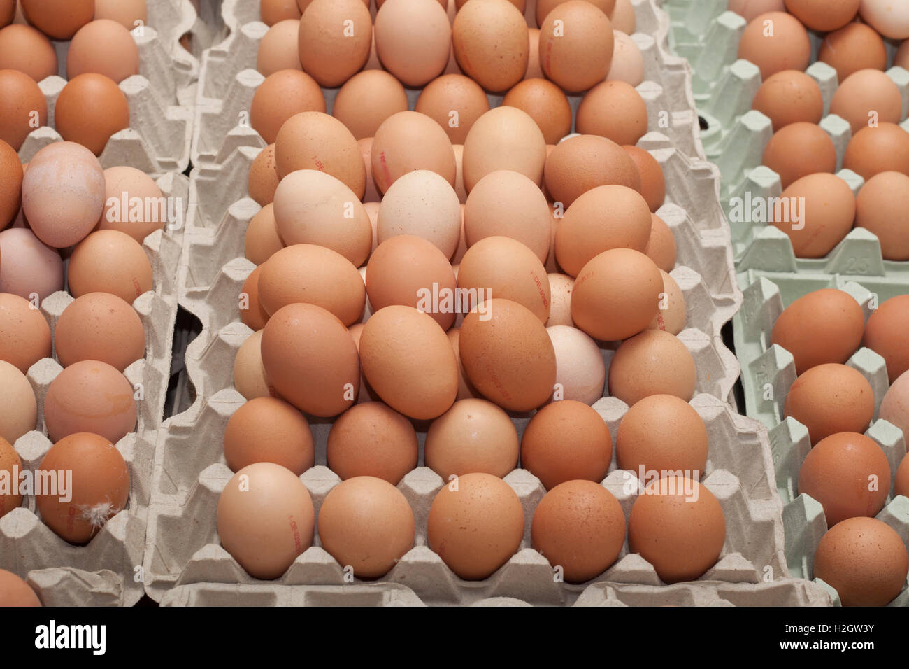 Fresh eggs, free-range eggs in an egg carton on a market stall, Bremen ...