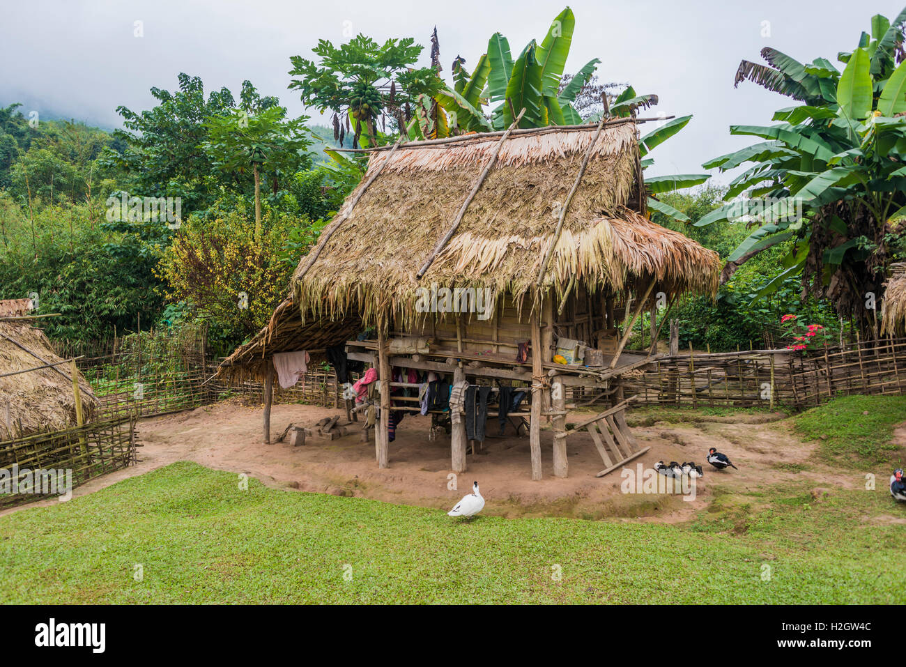 Nalan hi-res stock photography and images - Alamy
