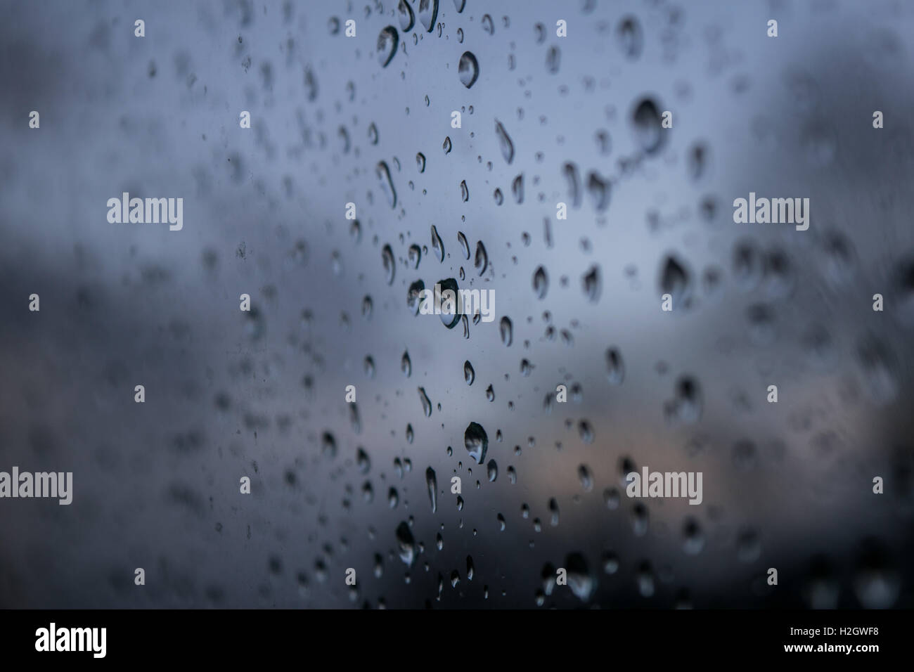 A window with drops of rain on it in the evening Stock Photo - Alamy