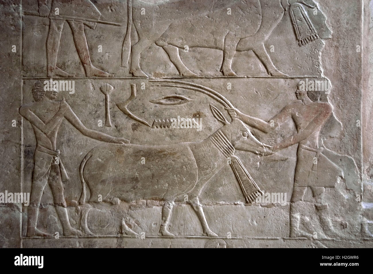 Egyptian antelope hi-res stock photography and images - Alamy