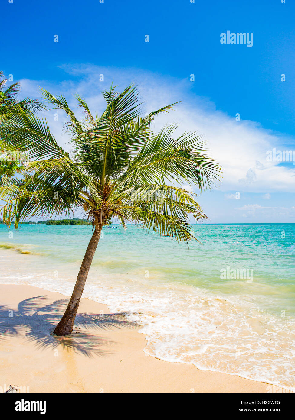 Landscape of Chaweng beach Koh Samui island in Thailand Stock Photo - Alamy