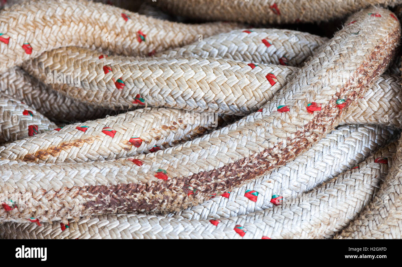 A close up shot of a coil of nylon rope Stock Photo - Alamy