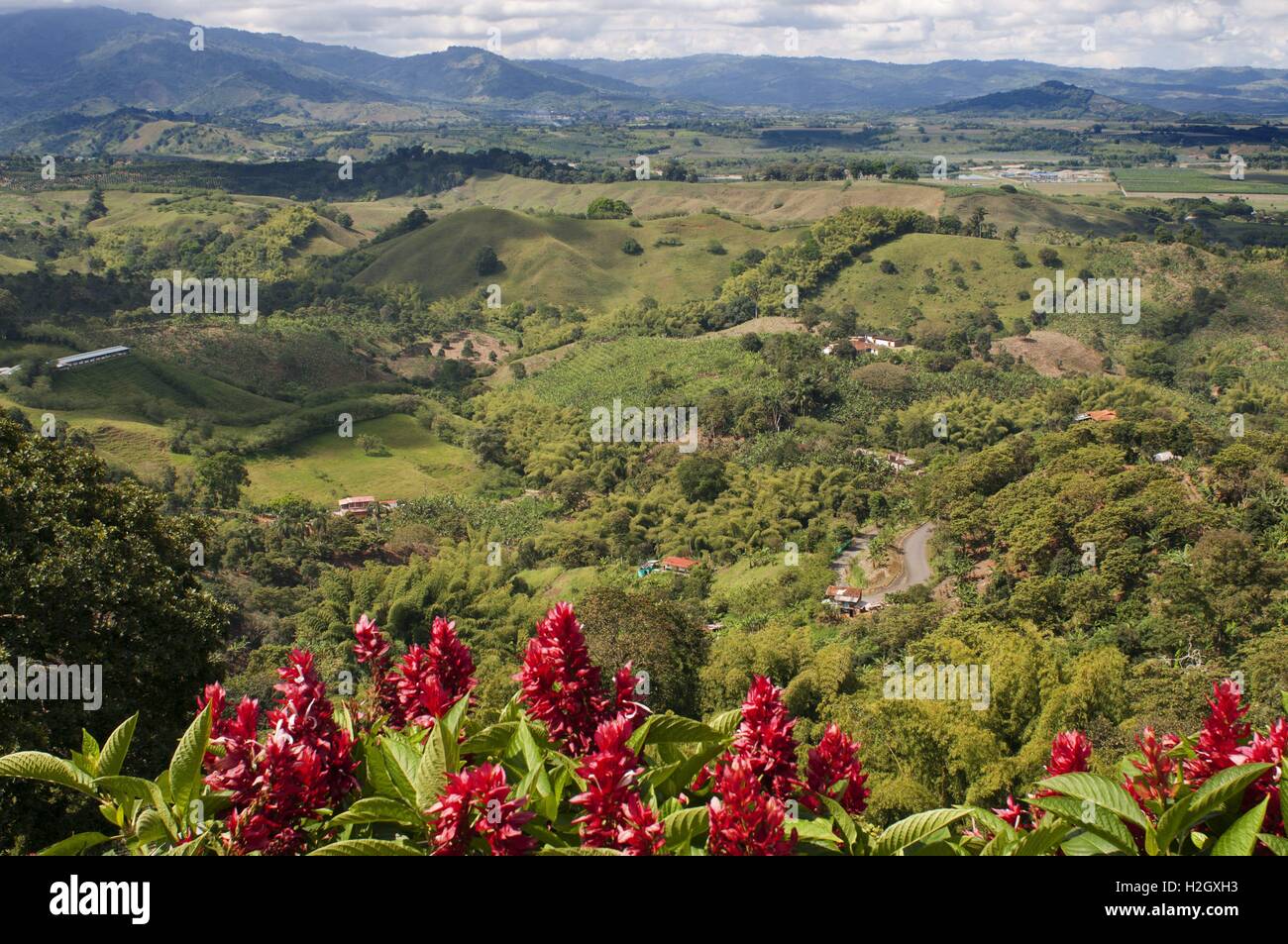 Colombia Colombian Coffee Growing Axis The Colombian Coffee Region High ...