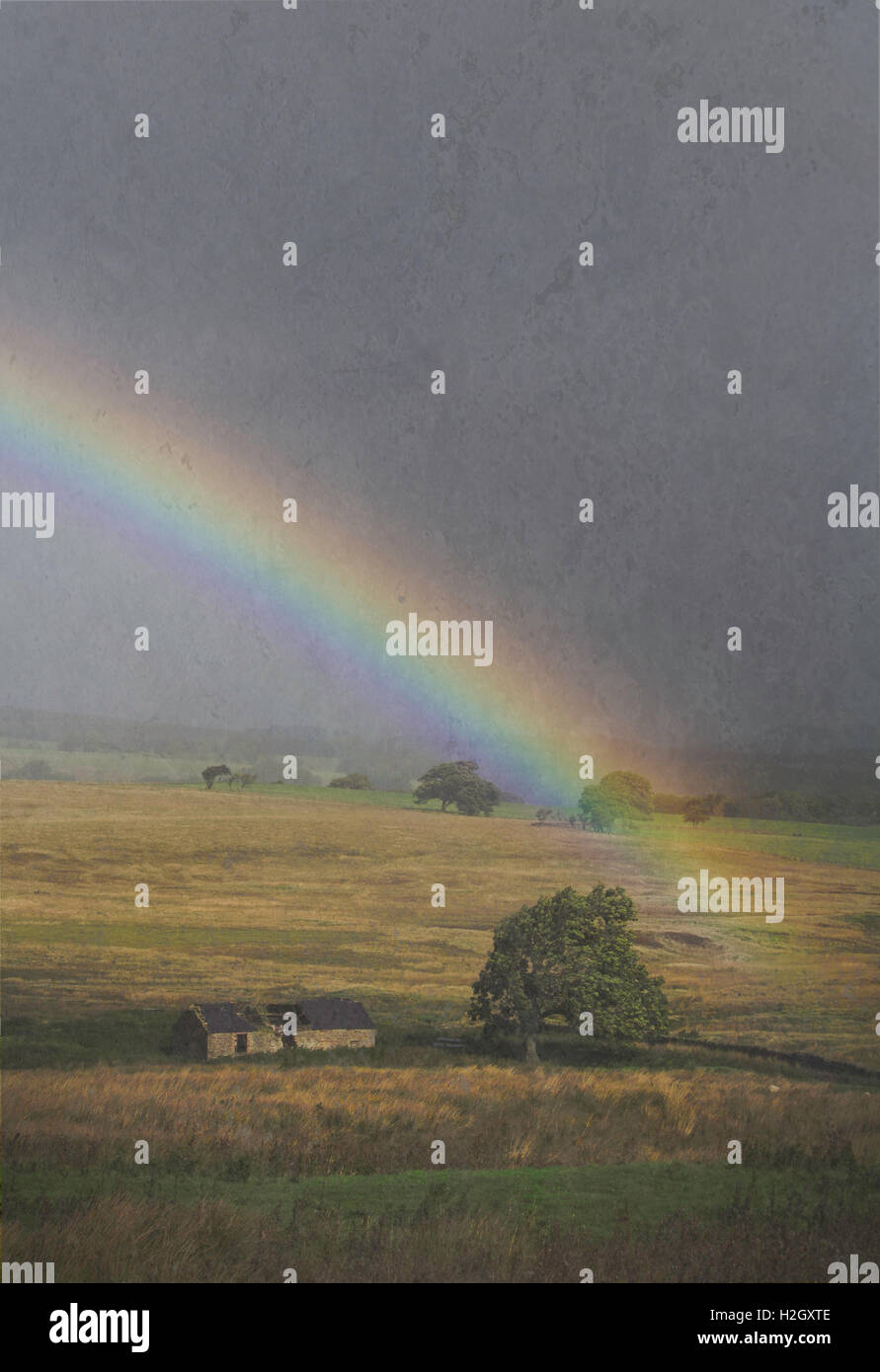 Rainbow over a derelict barn In the North Pennines. This images has ...