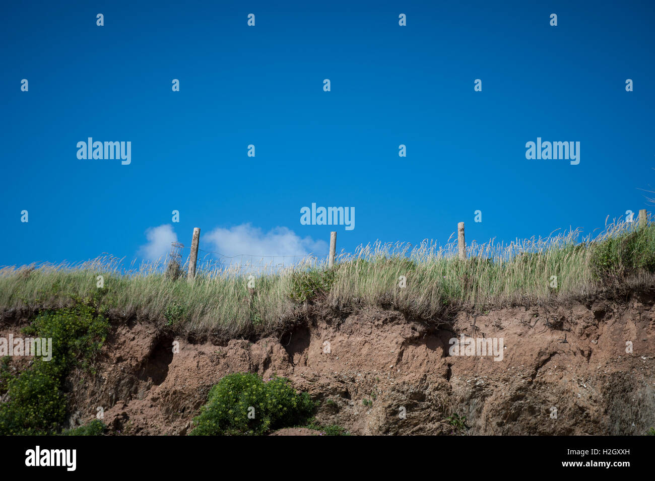 A fence and grass on the edge of a cliff in Devon, England Stock Photo ...