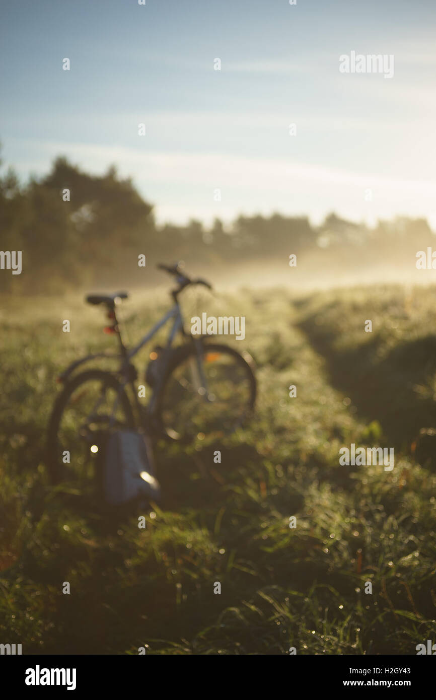 Grassy track hi-res stock photography and images - Alamy