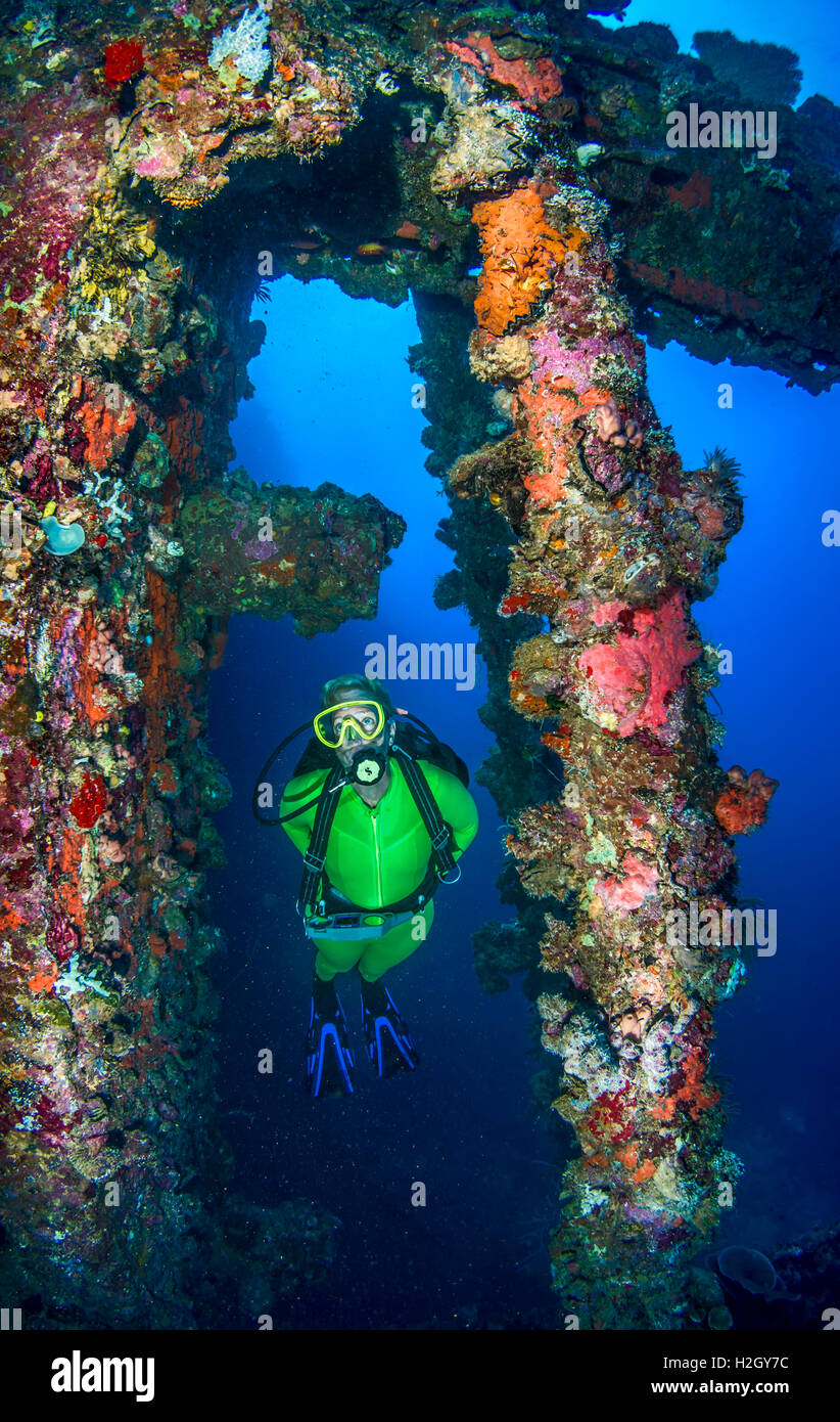 Female scuba diver explores the wreck of a WW2 Japanese freighter sunk ...
