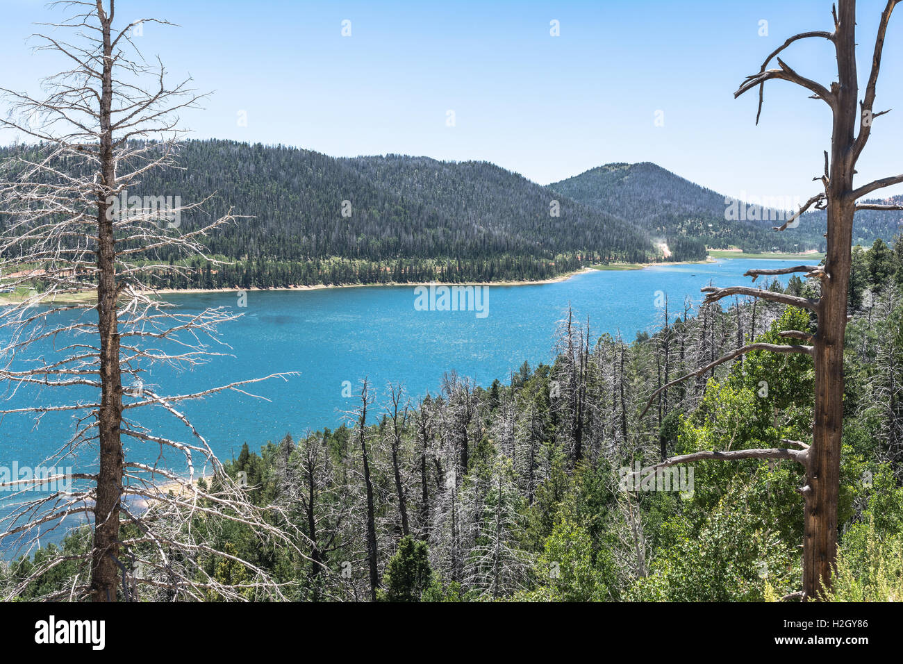 Navajo Lake in Dixie National Forest, Utah Stock Photo - Alamy