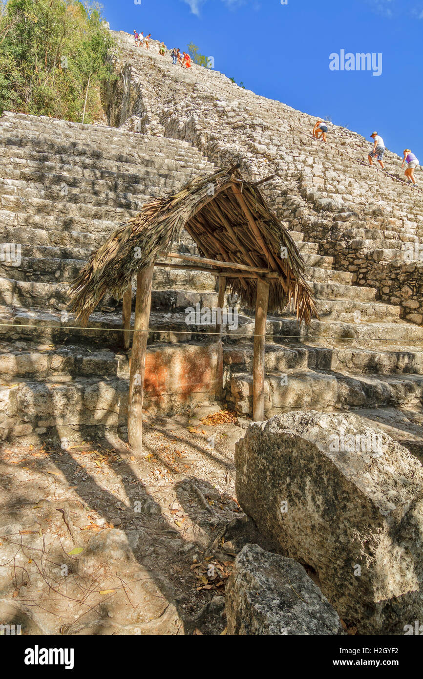 Pyramid Steele At Coba Quintana Mexico Stock Photo - Alamy