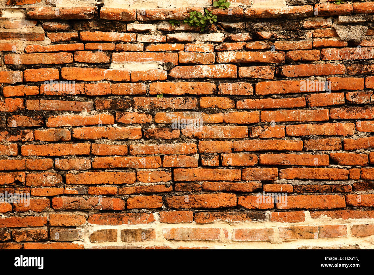 Old red brick wall Stock Photo - Alamy