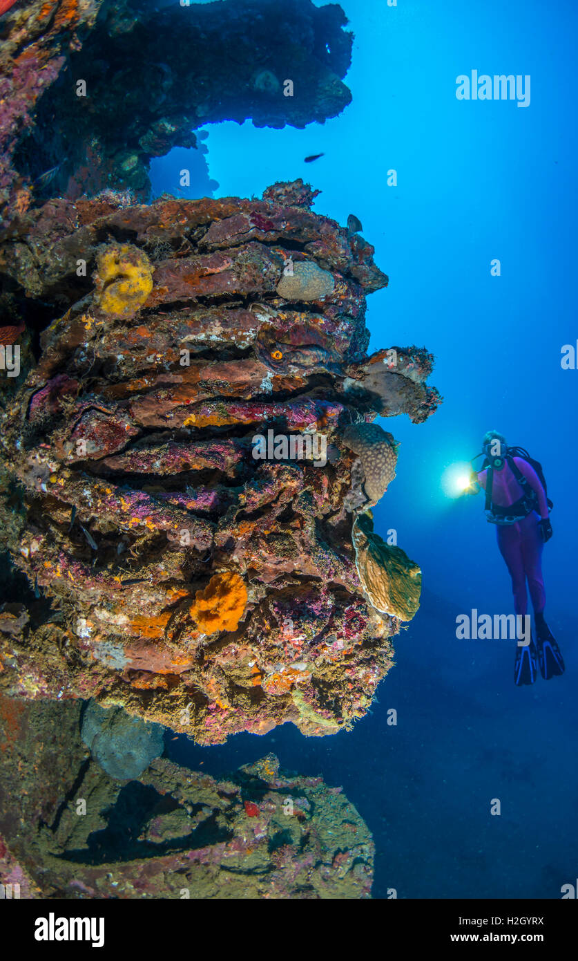 Female scuba diver explores the wreck of a WW2 Japanese freighter sunk ...