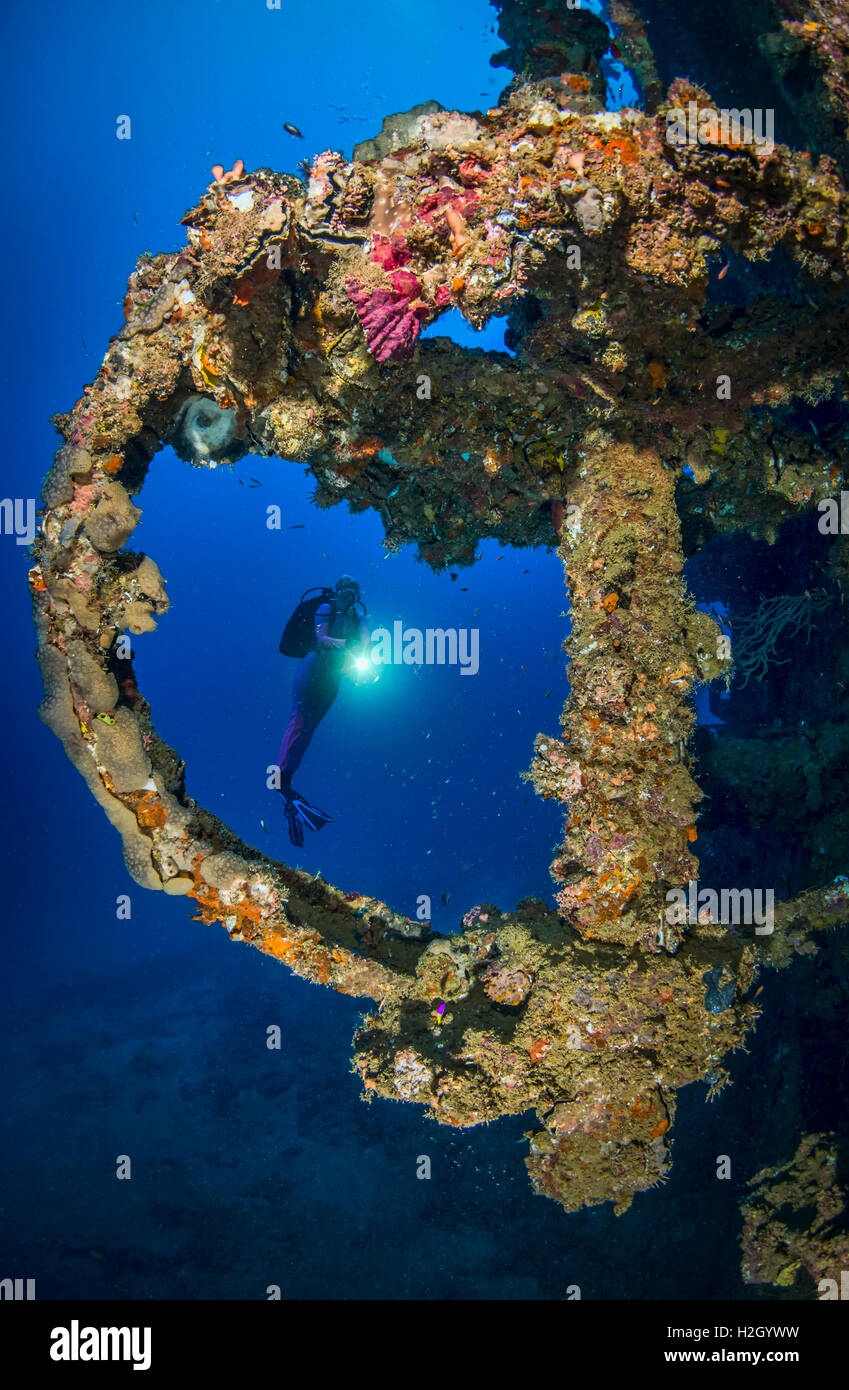 Female scuba diver explores the wreck of a WW2 Japanese freighter sunk ...