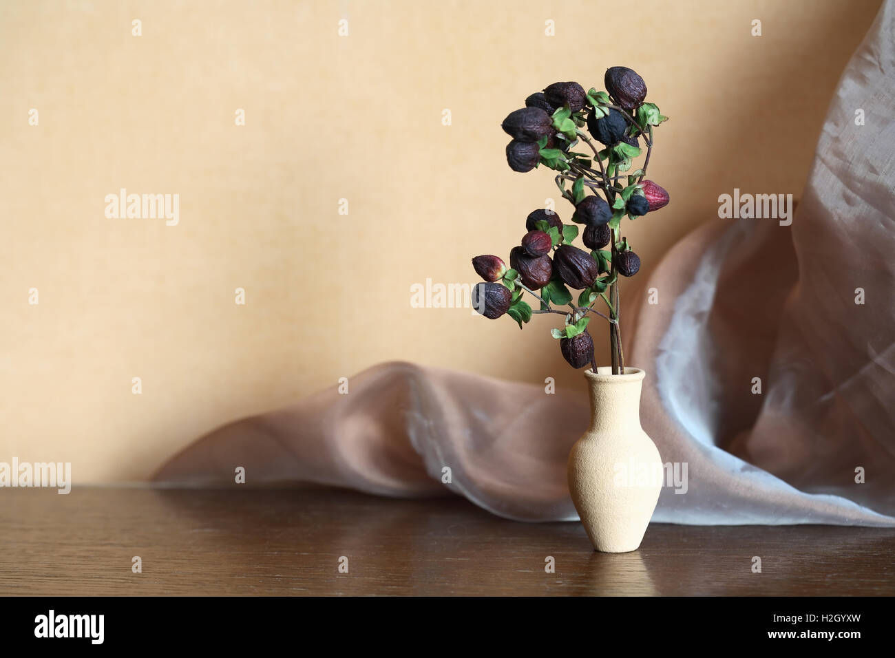 Nice dry plant with berries in elegance clay vase Stock Photo - Alamy