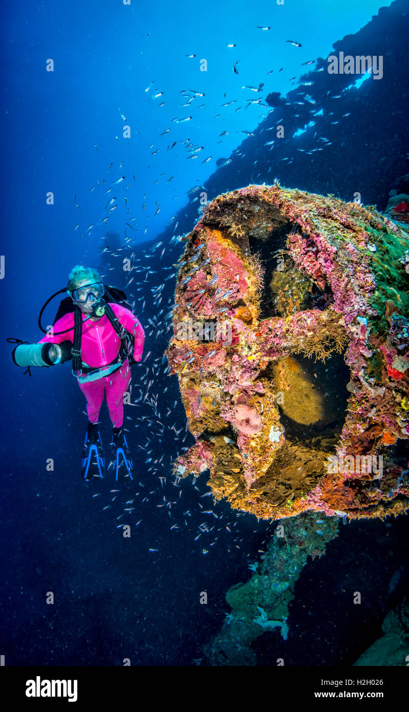 Female scuba diver explores the wreck of a WW2 Japanese freighter sunk ...