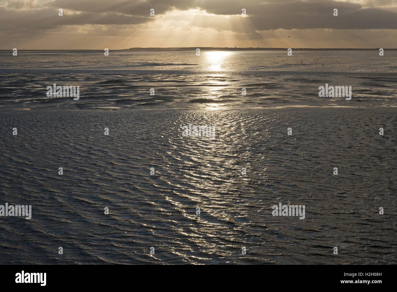 Sunbeams on the evening sky above the horizon of the North Sea with the ...