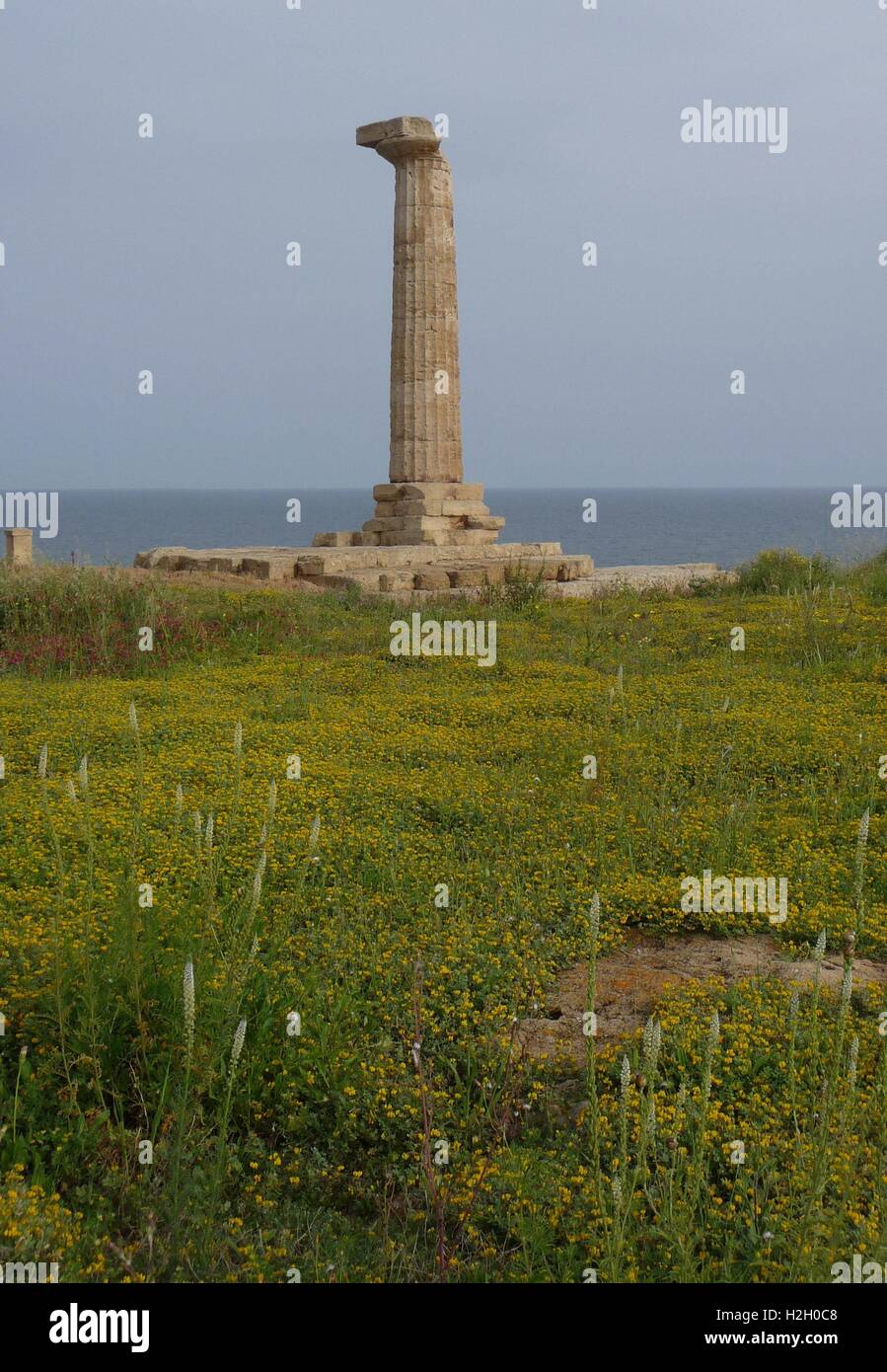 Column of ancient Hera Temple at Capo Colonna near Crotone, Calabria ...