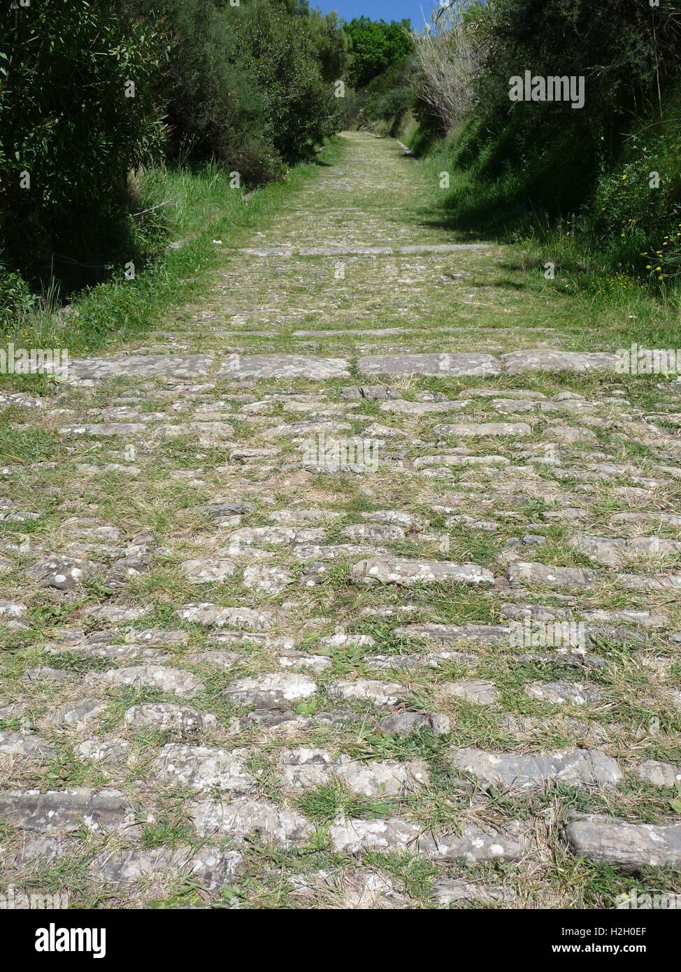 Archeological area of Elea-Velia in Acea, Campania, Italy, pictured 20 ...