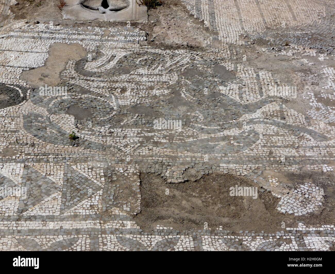 Archeological area of Elea-Velia in Acea, Campania, Italy, pictured 20 ...