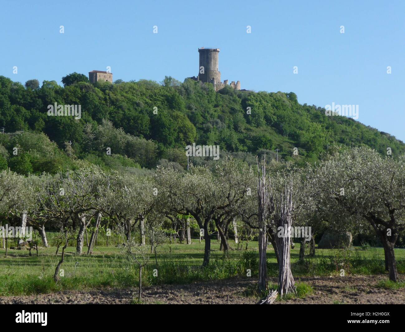 Medioeval Tower of Velia in Acea, Campania, Italy, pictured 19 April ...