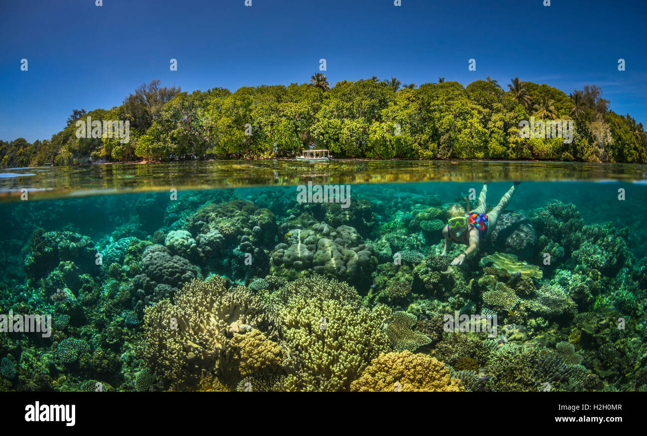 Split image shot of tropical island in Pacific Ocean Stock Photo - Alamy
